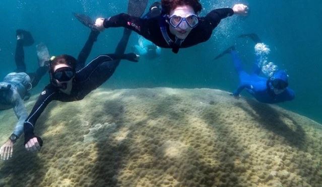 SpaceX causa 1,600 "casi colisiones" a la semana, El glaciar Doomsday ...