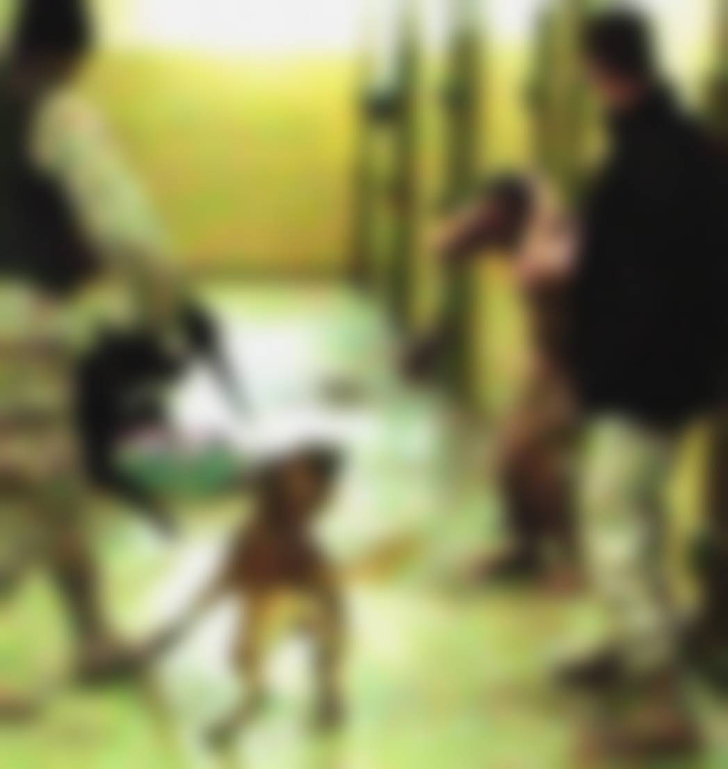 Abu Ghraib: La prisión del terror de la guerra contra el terrorismo