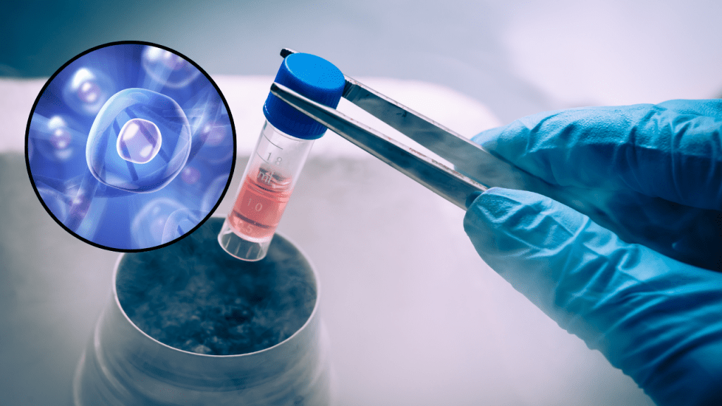 ¿Copiar o copear? ¿Cómo se escribe correctamente?