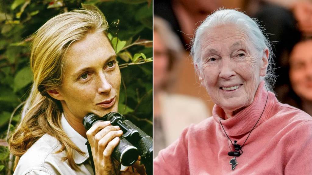 El Signo de Frank: ¿Un detector de infartos?